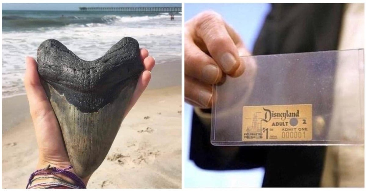 26 rare sights photographed thanks to smartphones