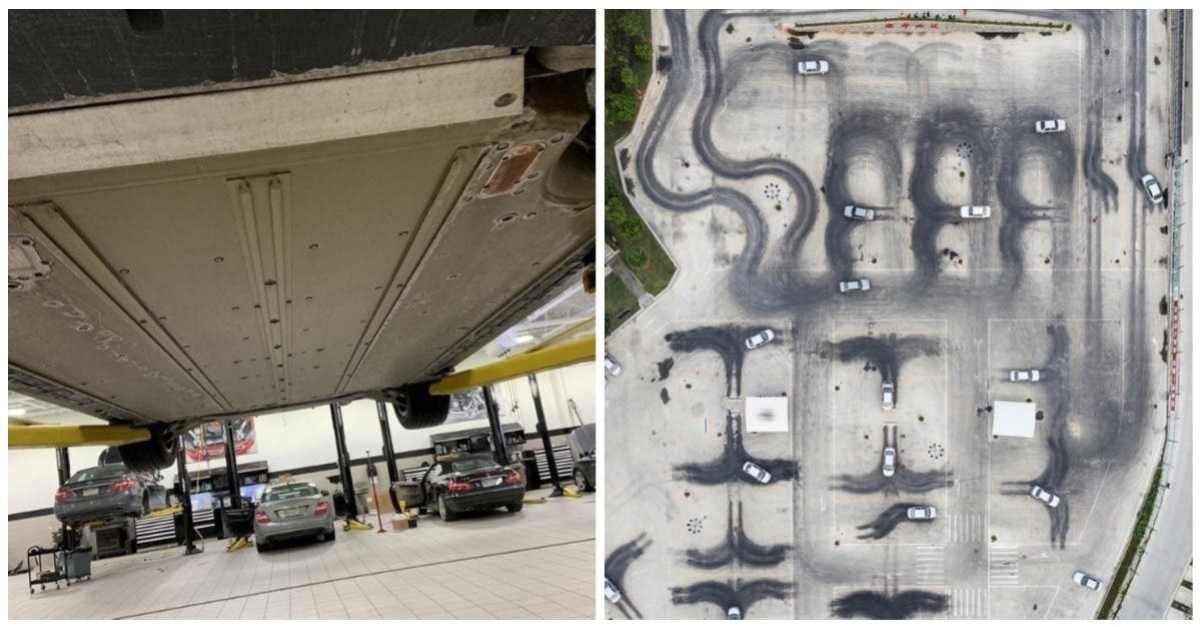 13 pictures of things we never expect to see