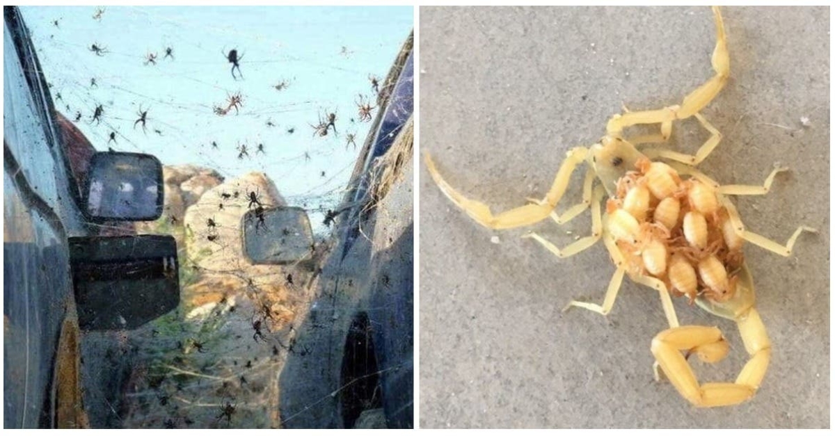 15 chilling pictures that will give anyone goosebumps