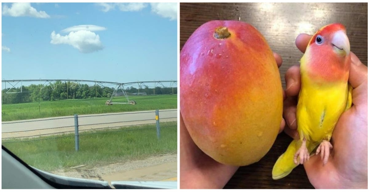 20 freaky situations and coincidences caught on camera