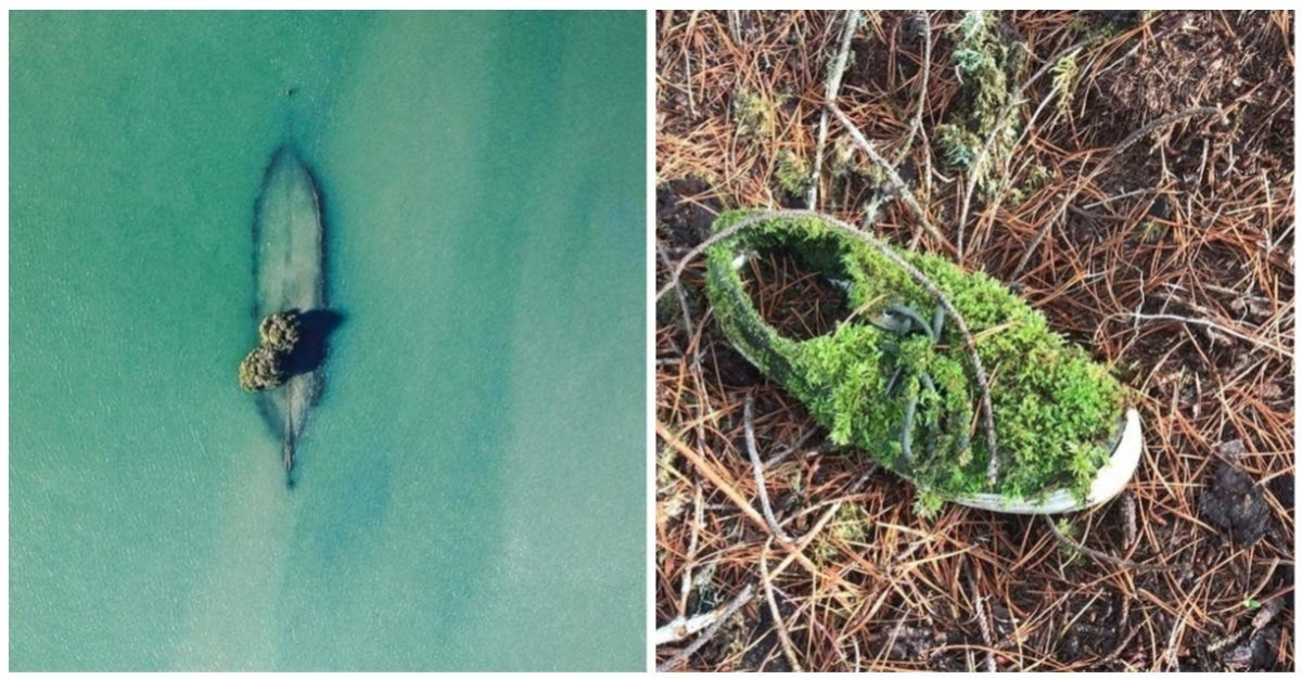 20 times when nature decided to take over