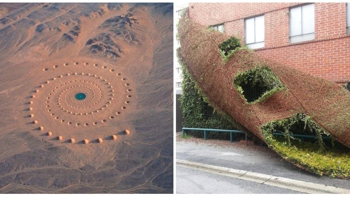 17 unusual sights that deserve a closer look