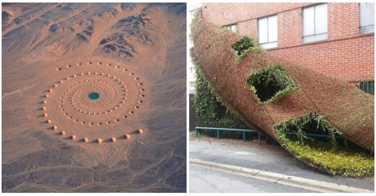 17 unusual sights that deserve a closer look