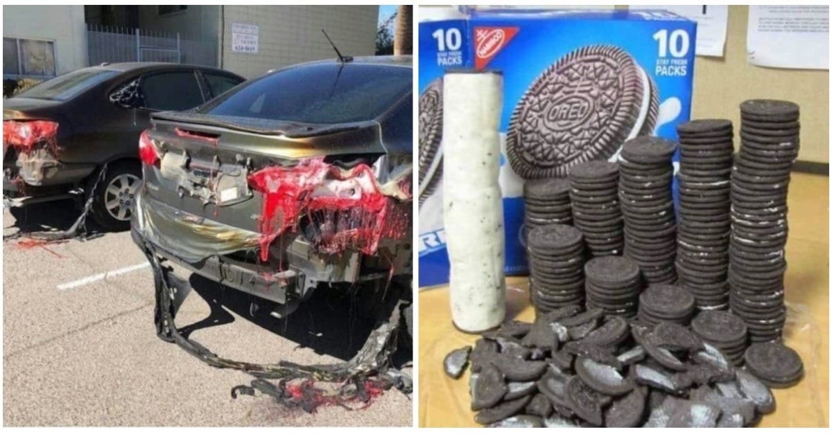 18 weird moments caught on camera