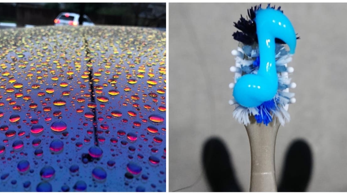 28 photos that are strangely satisfying to look at and maybe a bit OCD