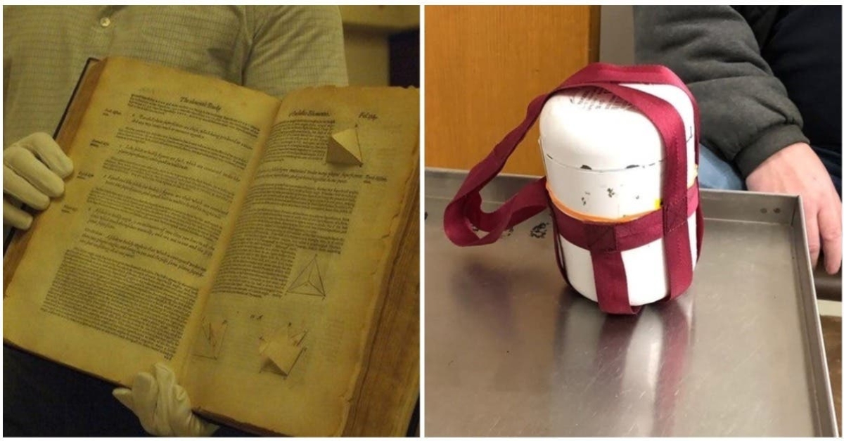 18 incredible photos of objects, gadgets and animals from across the ages