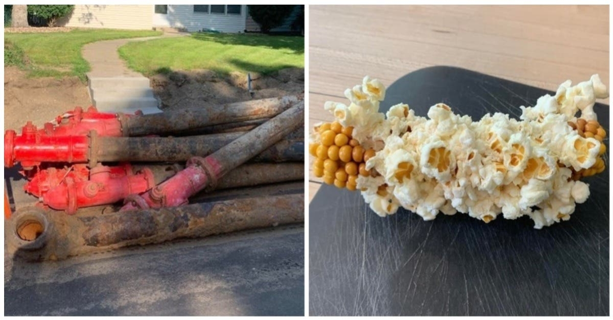 22 people who saw something awesome and grabbed their camera