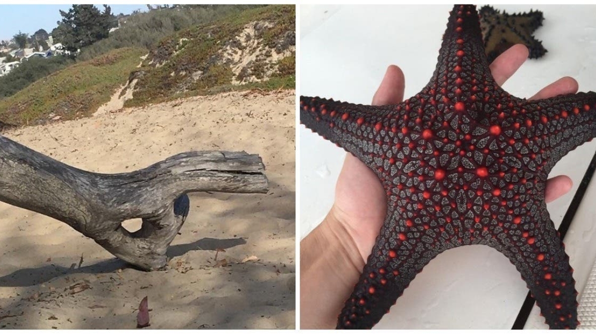 23 photos of things rarely seen on Earth