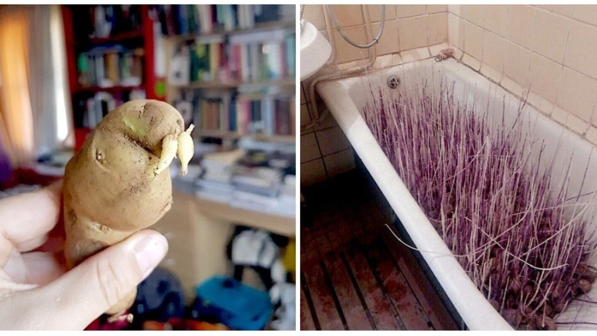 26 photos that reveal a hidden side of objects