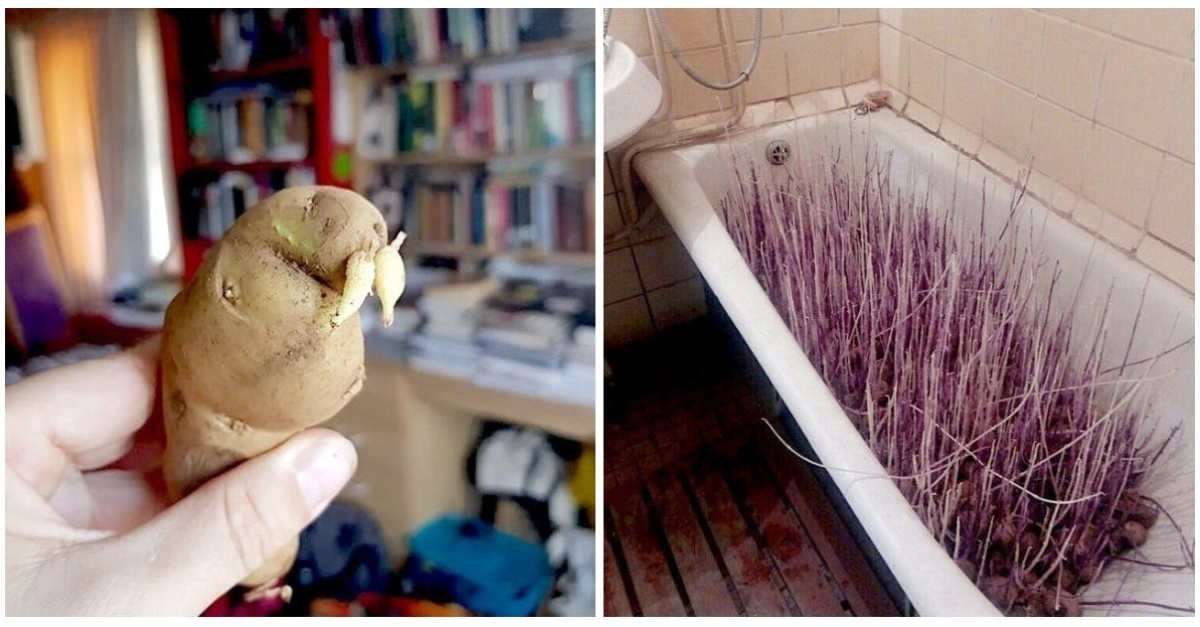 26 photos that reveal a hidden side of objects