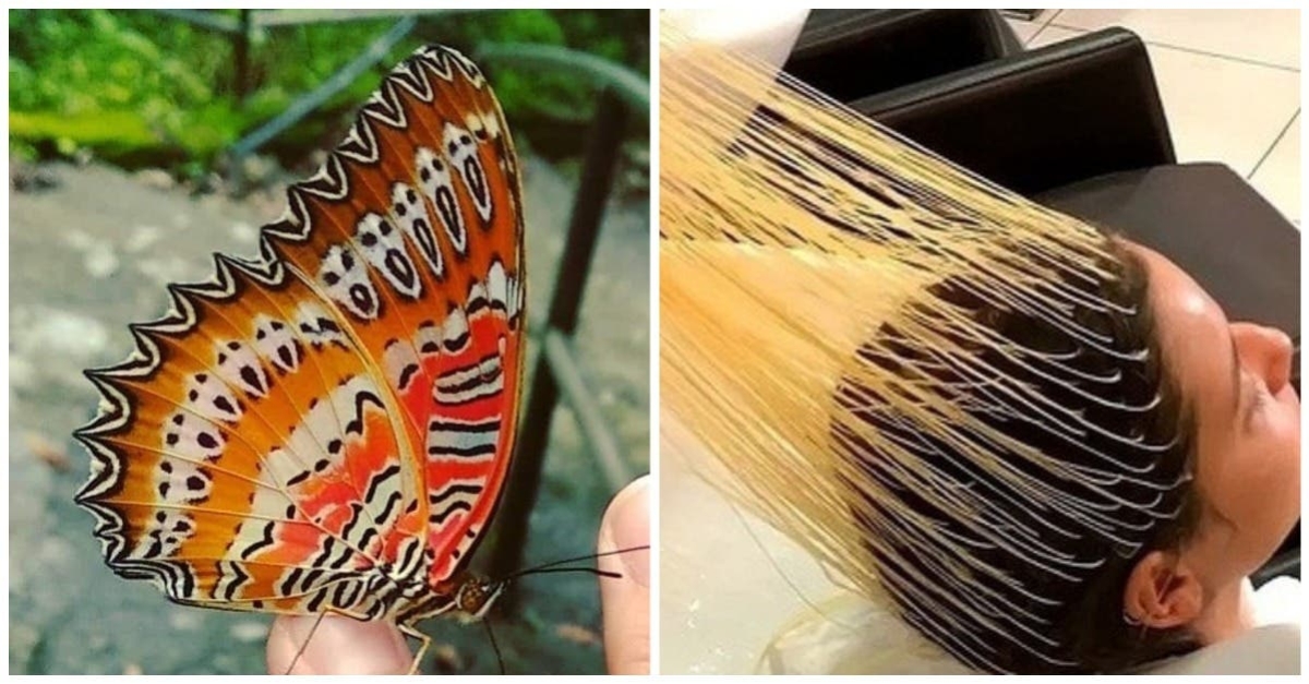 14 strange sights caught on camera