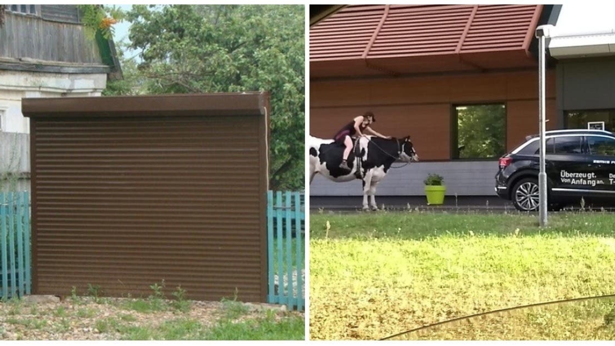 17 puzzling pictures of things that are hard to figure out