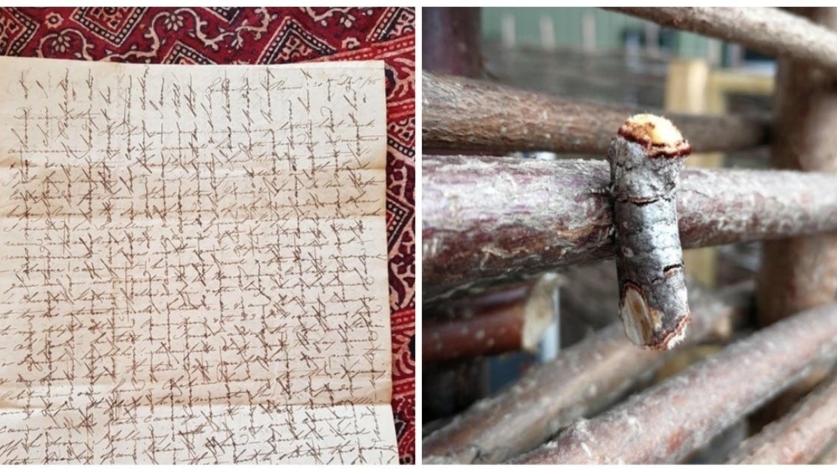 20 unusual discoveries people saw during their normal day