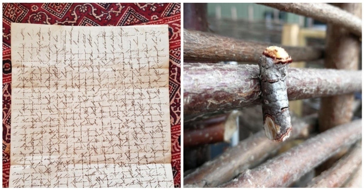 20 unusual discoveries people saw during their normal day