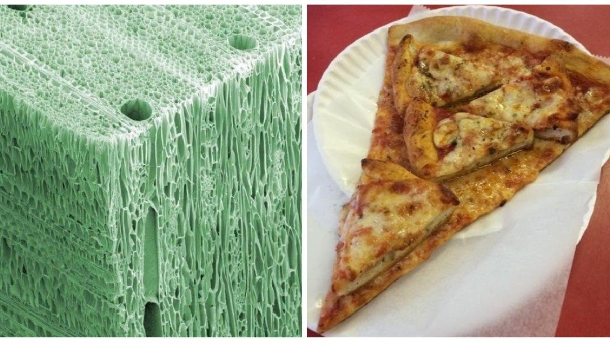 22 photos of totally strange sights