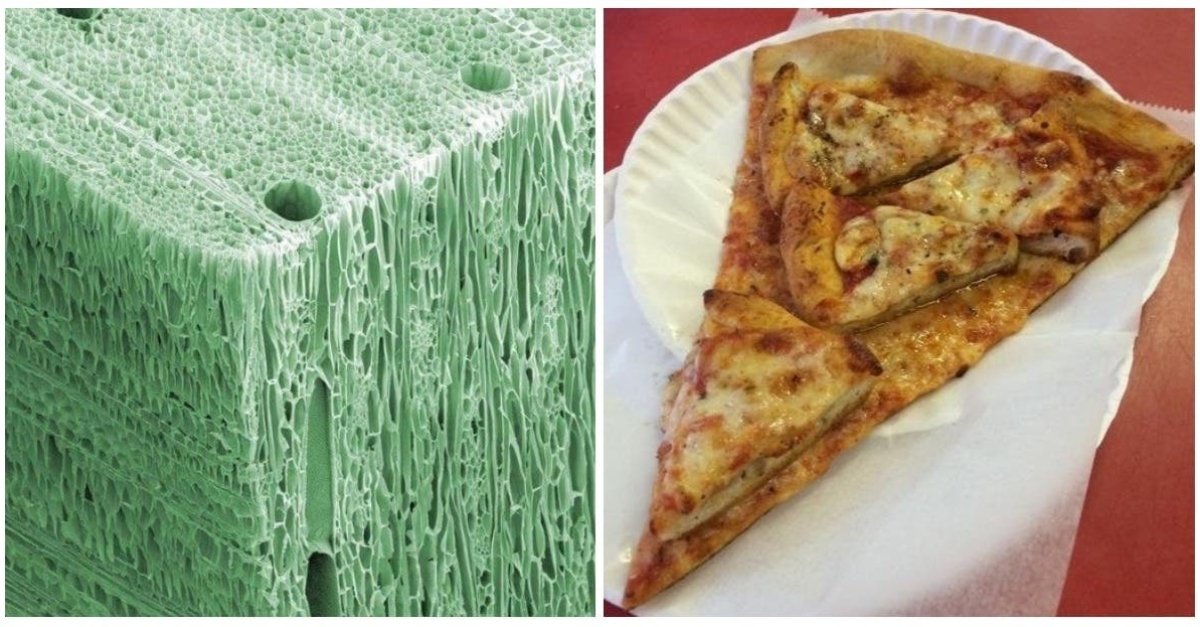 22 photos of totally strange sights