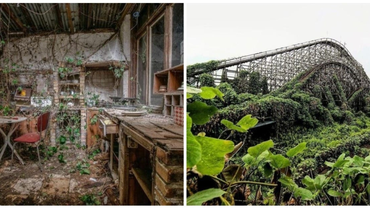 18 photos where nature has reclaimed its rights