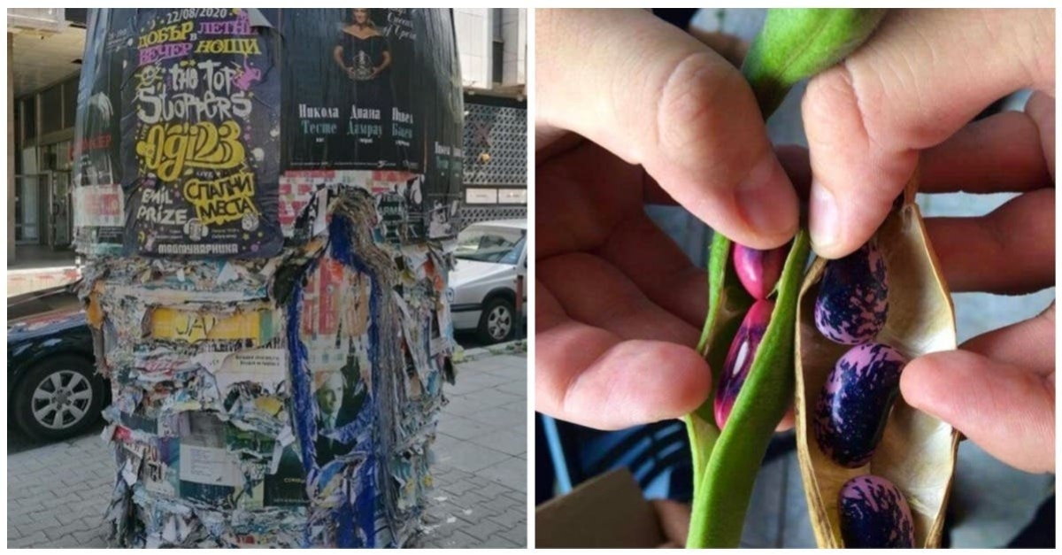 19 photos shared on social media that will spark your curiosity