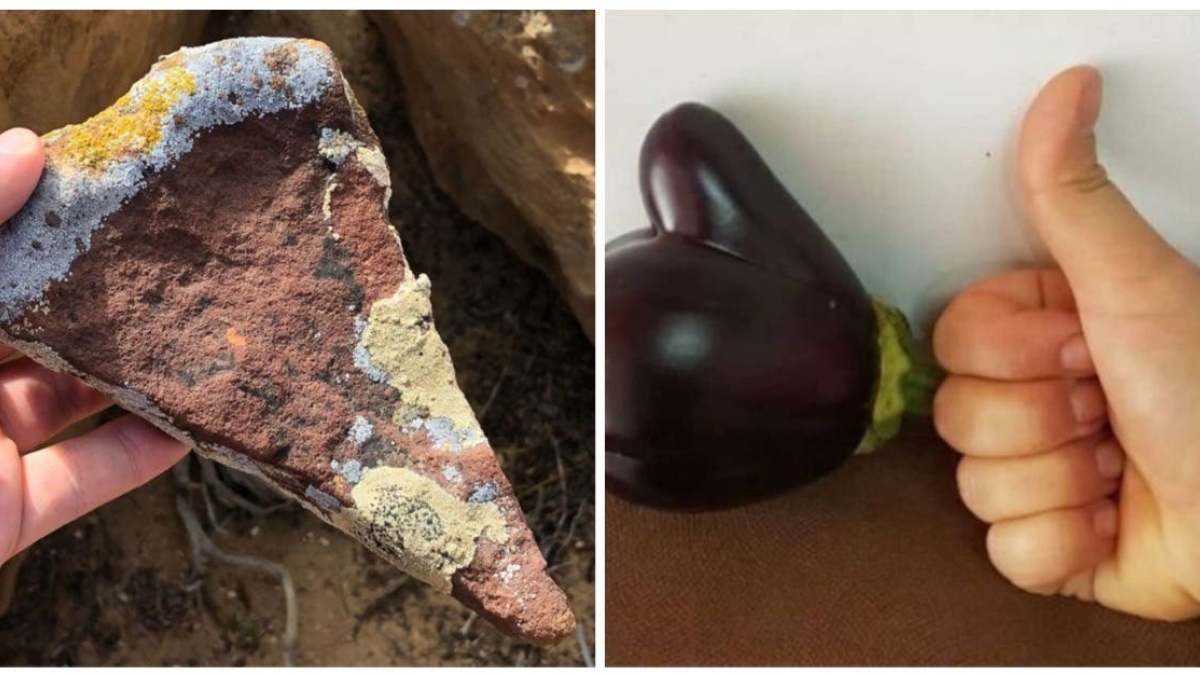 16 photos that illustrate the beauty and originality of nature