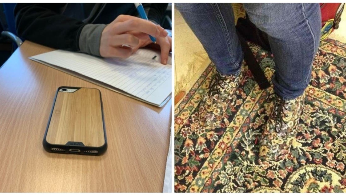 16 objects that blend in perfectly with the background