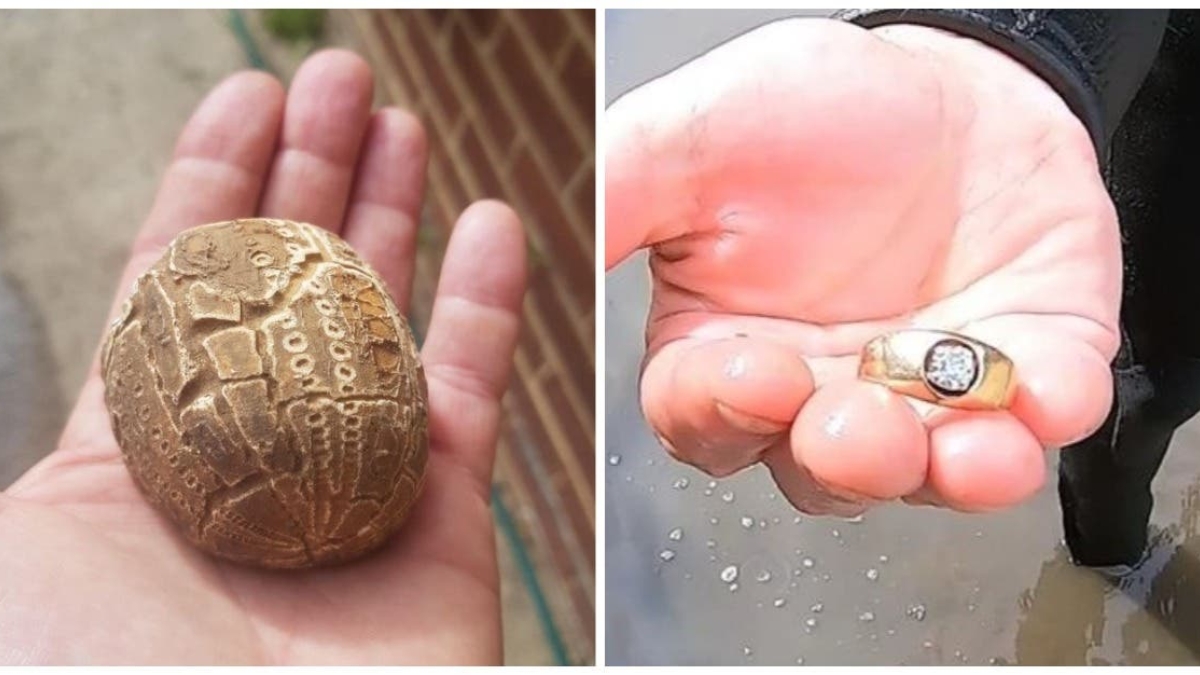 19 incredible finds that people snapped and shared