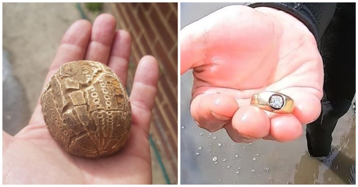 19 incredible finds that people snapped and shared