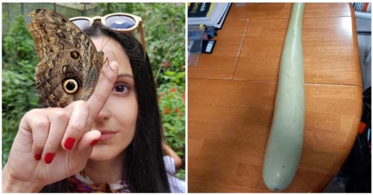 20 photos that show how marvellous the world around us can be