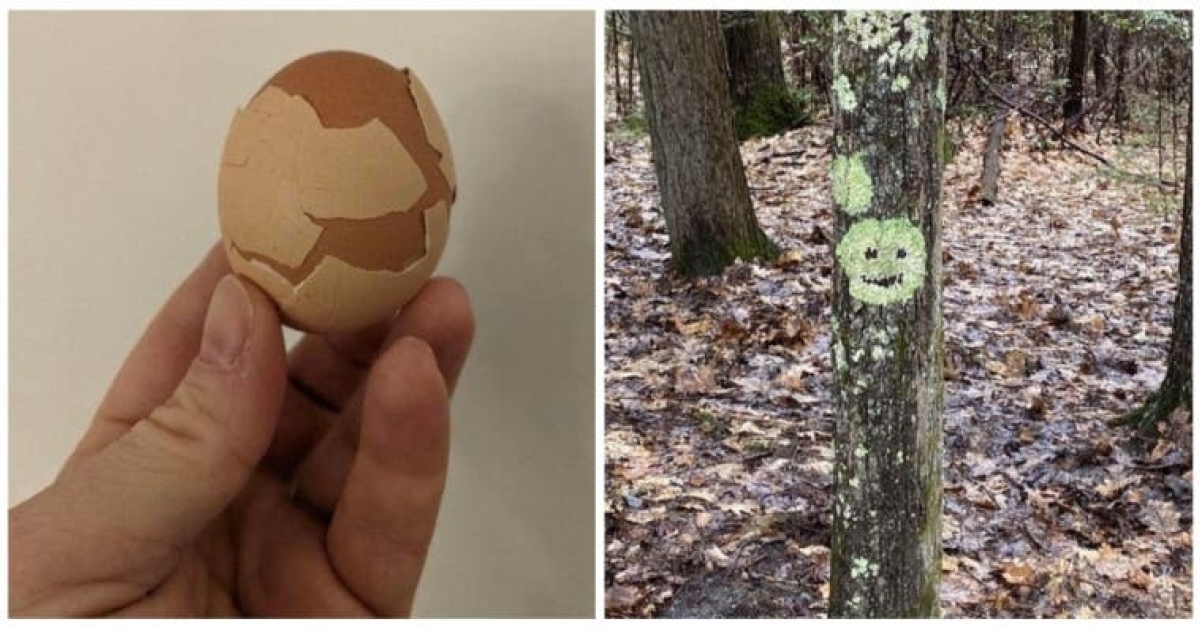 20 photos that show Mother Nature has a great sense of humor