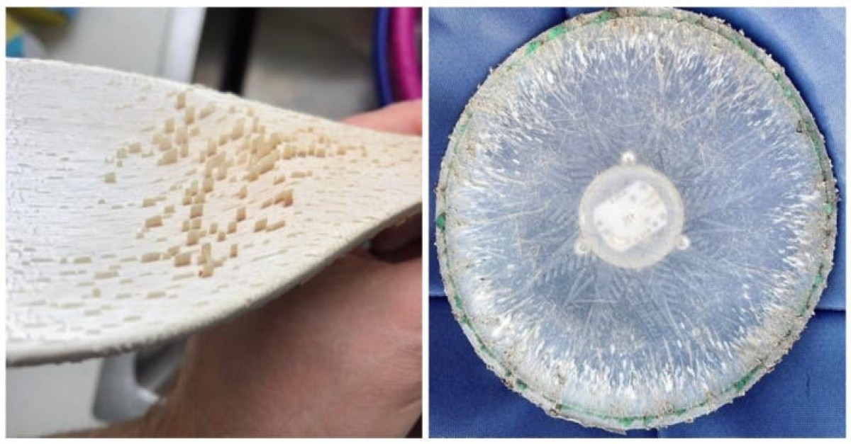 20 photos that will appeal to curious people