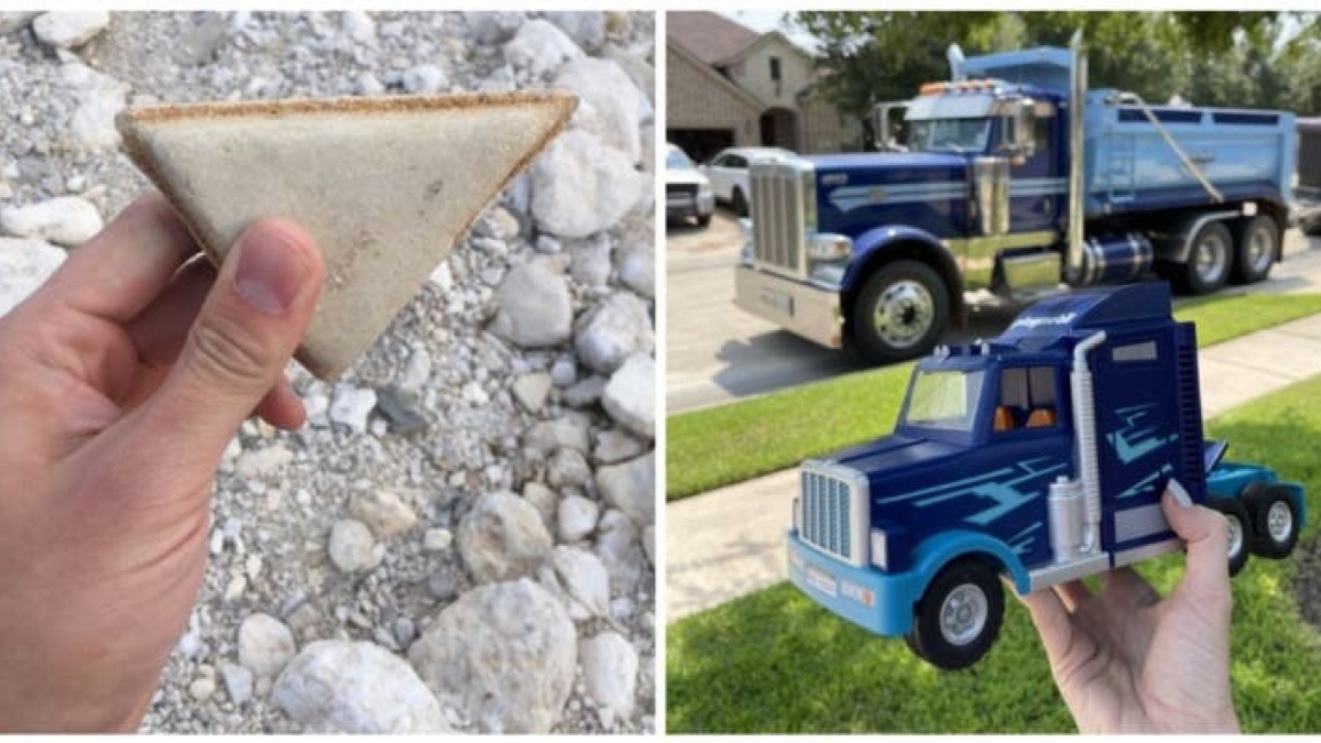 20 photos of weird and wonderful situations that were caught on camera