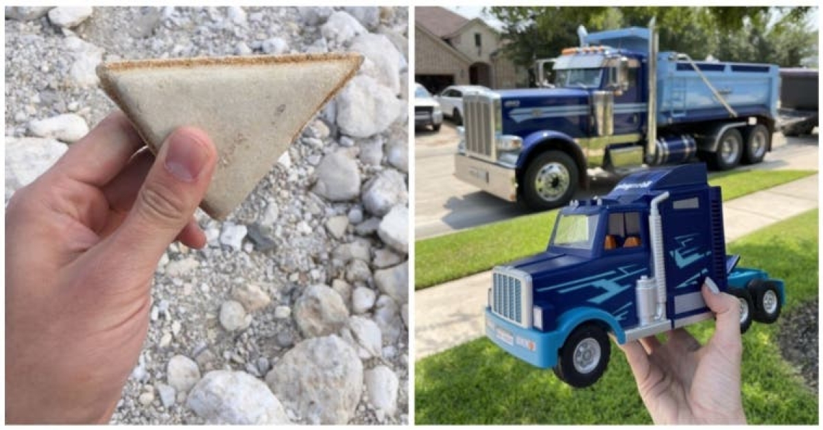 20 photos of weird and wonderful situations that were caught on camera