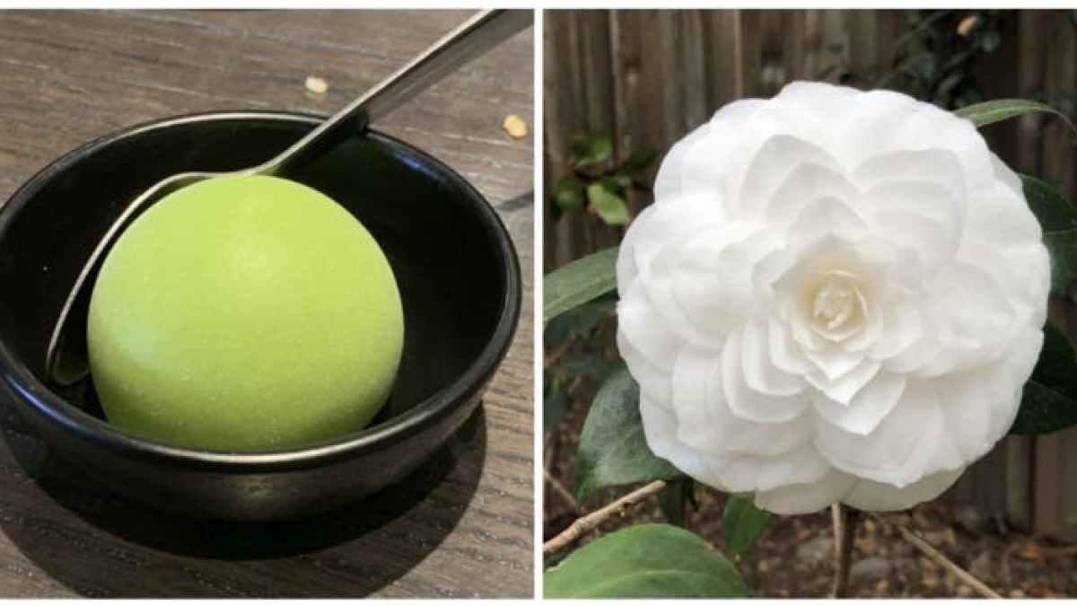 15 mesmerizing examples of near-perfection