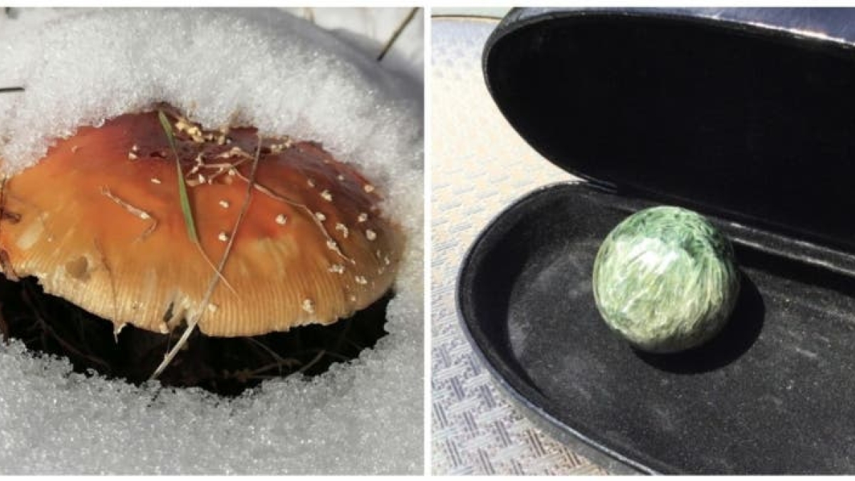 20 photos that aren’t what they seem