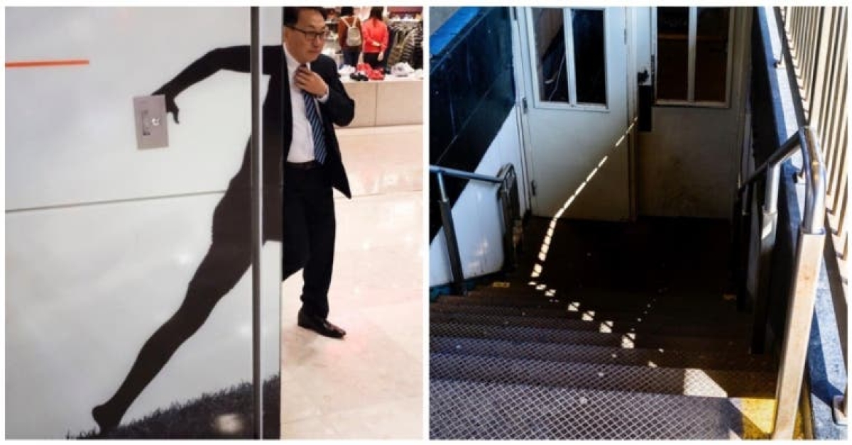 20 photos taken at exactly the right moment