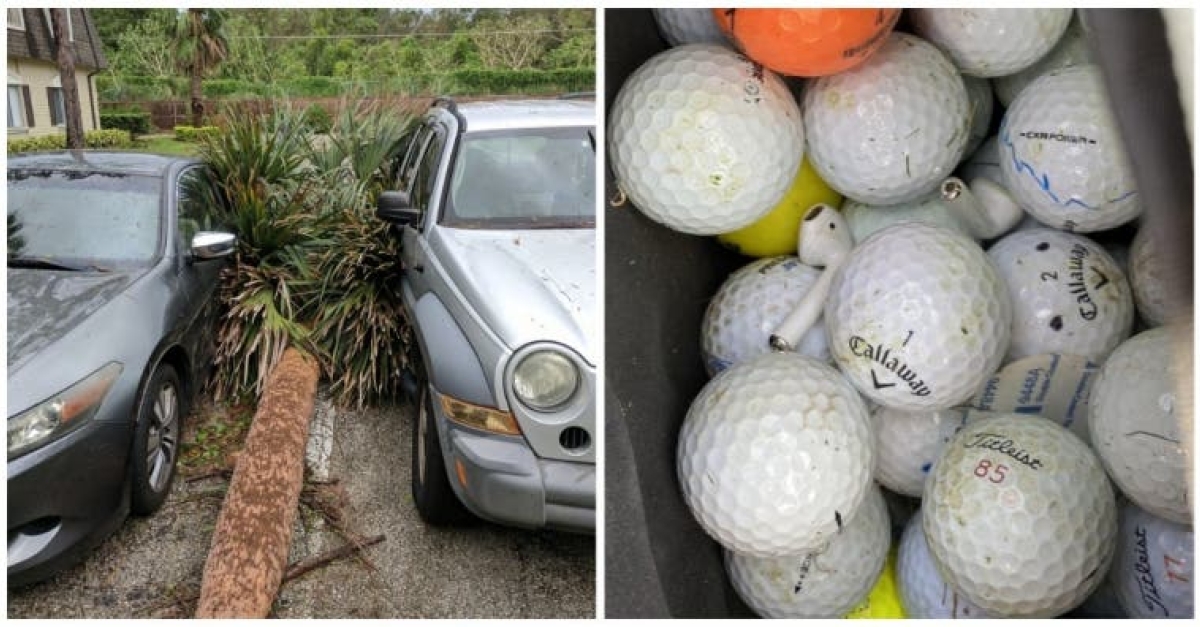 20 people who snapped and shared a moment of happiness