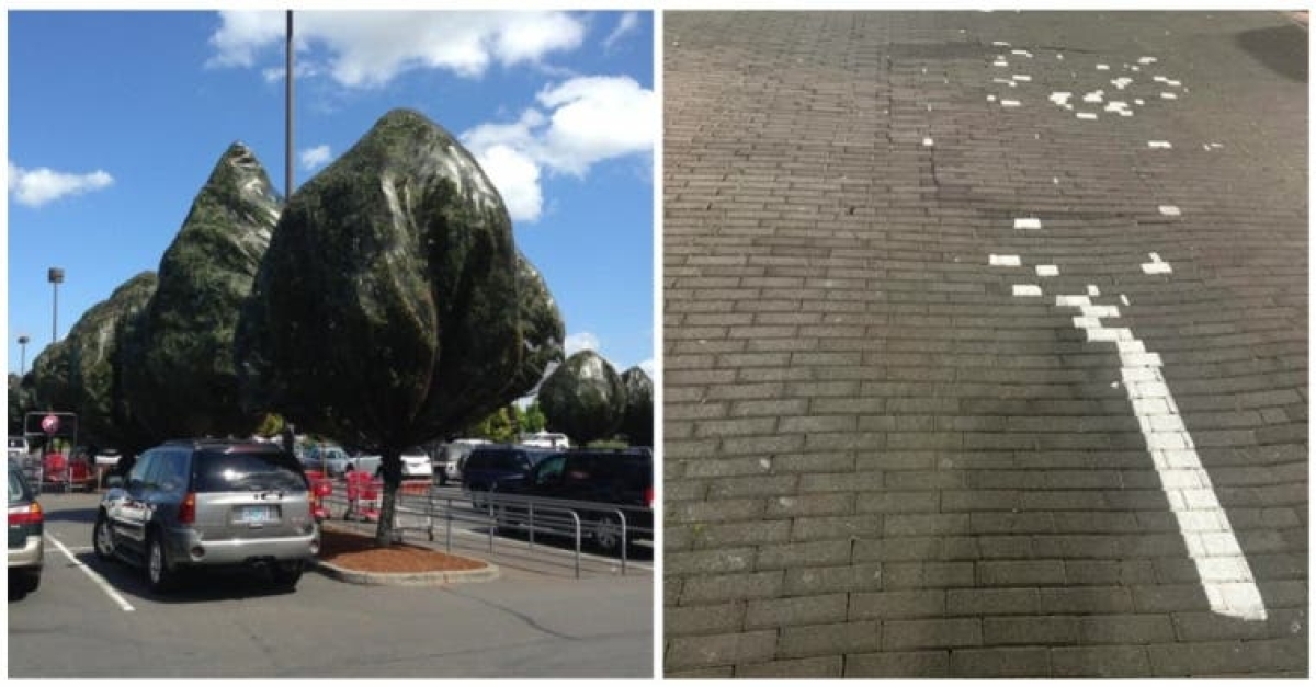 20 photos of weird glitches that happened in real life