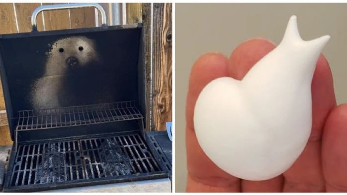 19 photos of everyday things that will bring a smile to your face