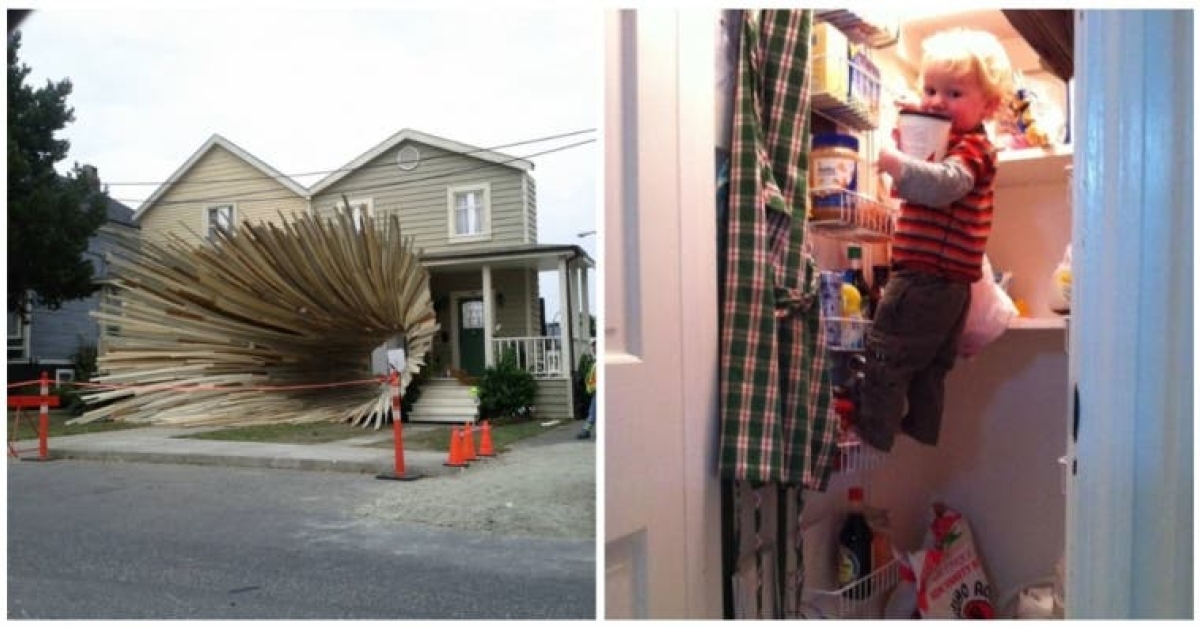 16 photos of life's little surprises that will put the smile back on ...