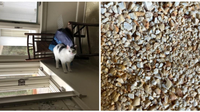 16 photos that will totally mess with your brain