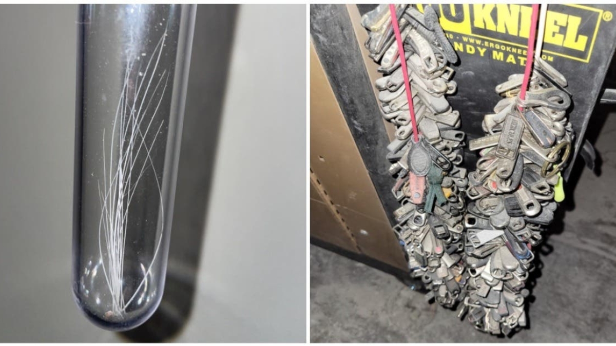 20 photos of weird and wonderful collections that people have treasured ...