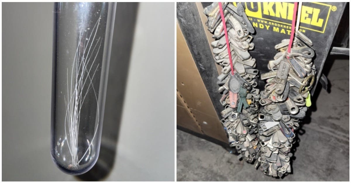 20 photos of weird and wonderful collections that people have treasured ...