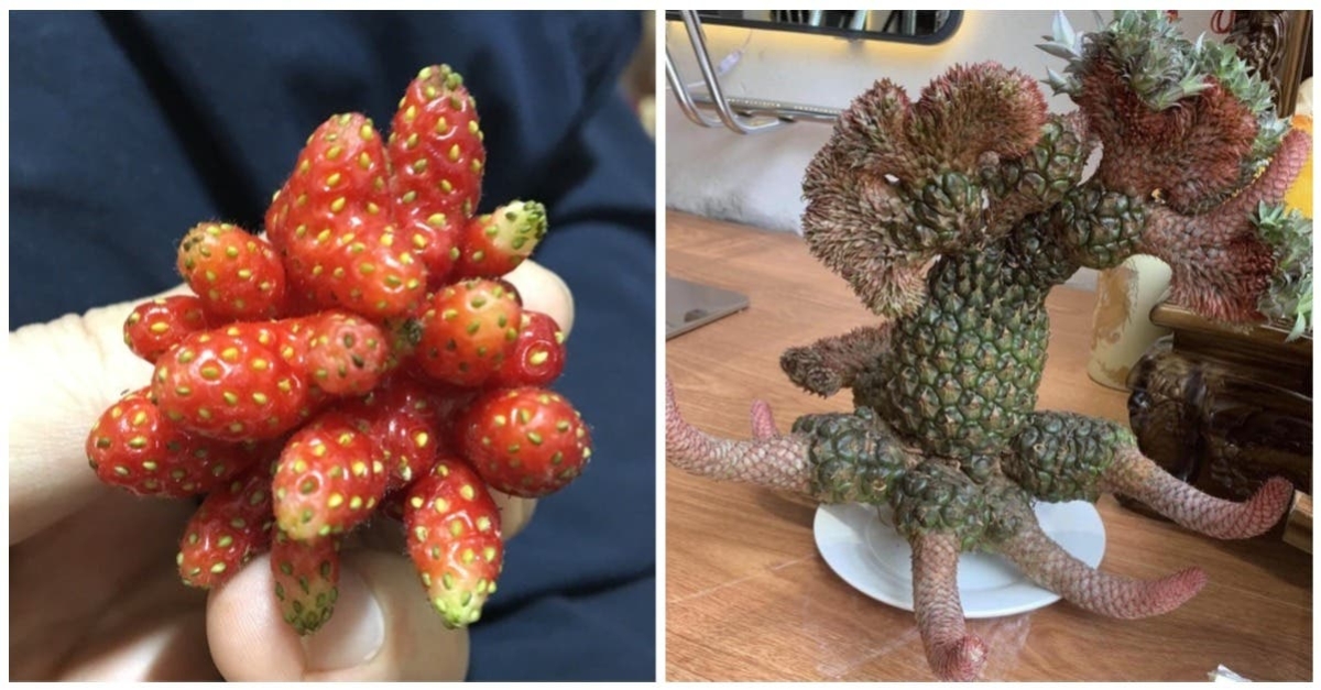 18 photos of unusual physical traits and natural wonders